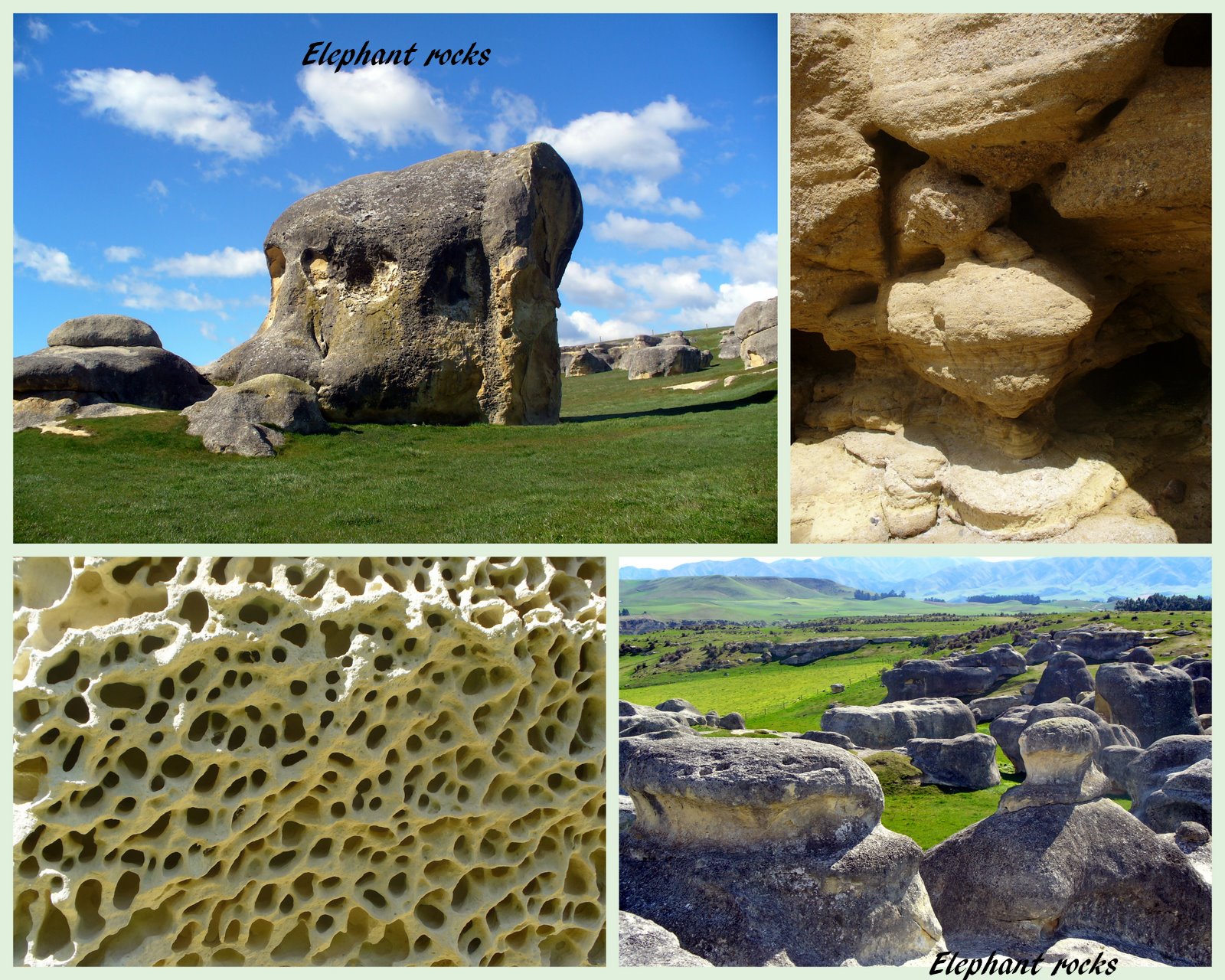 Dutchcorner: Oamaru trip