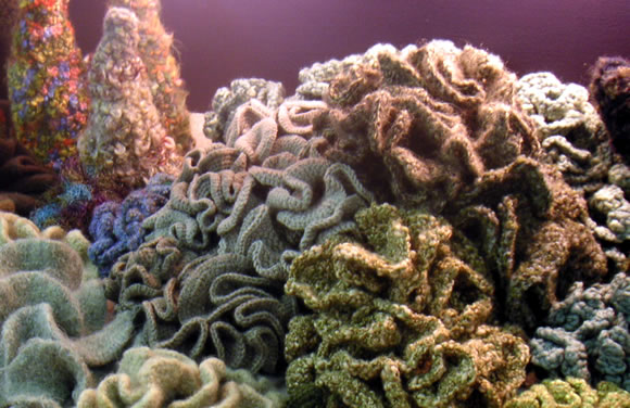 Dirt Balls: Natural History Museum Opens The Hyperbolic Crochet Coral ...