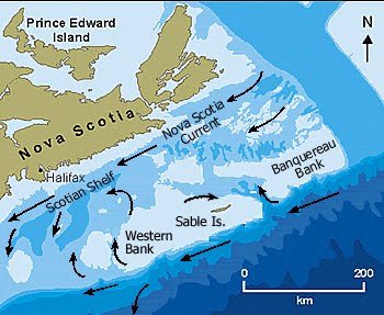 Sable island map - reelbatman