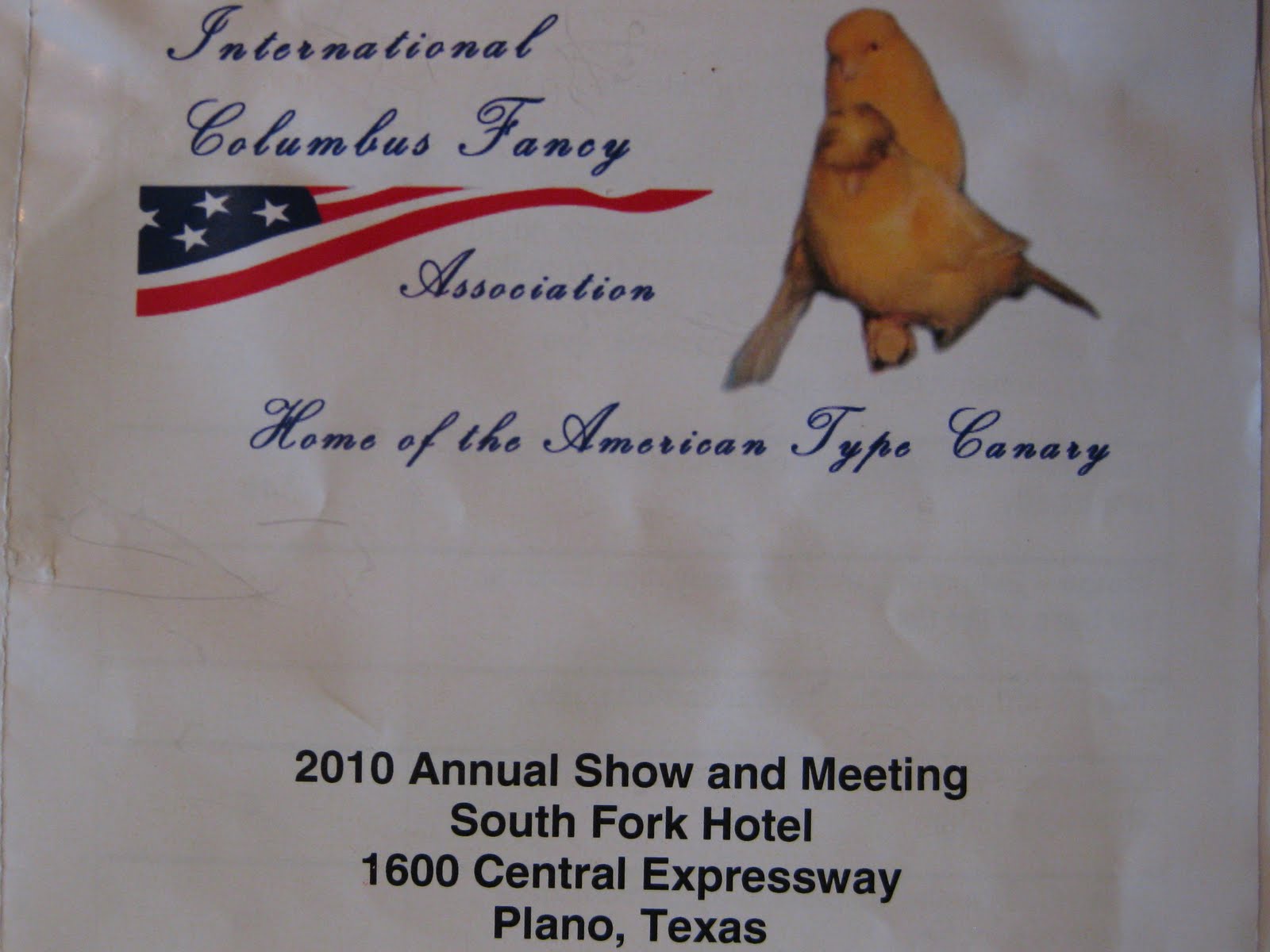 Canary Tales: Columbus Fancy - American Type Canary