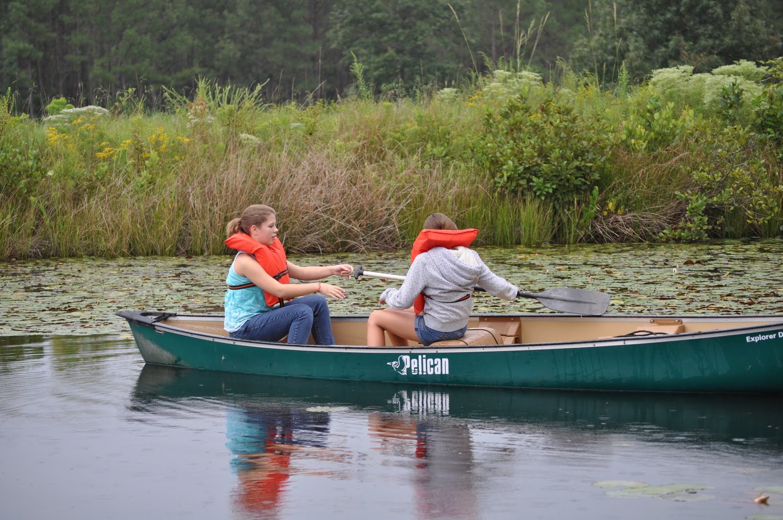The Country Diary of a Southern Lady: Two Friends and a Boat