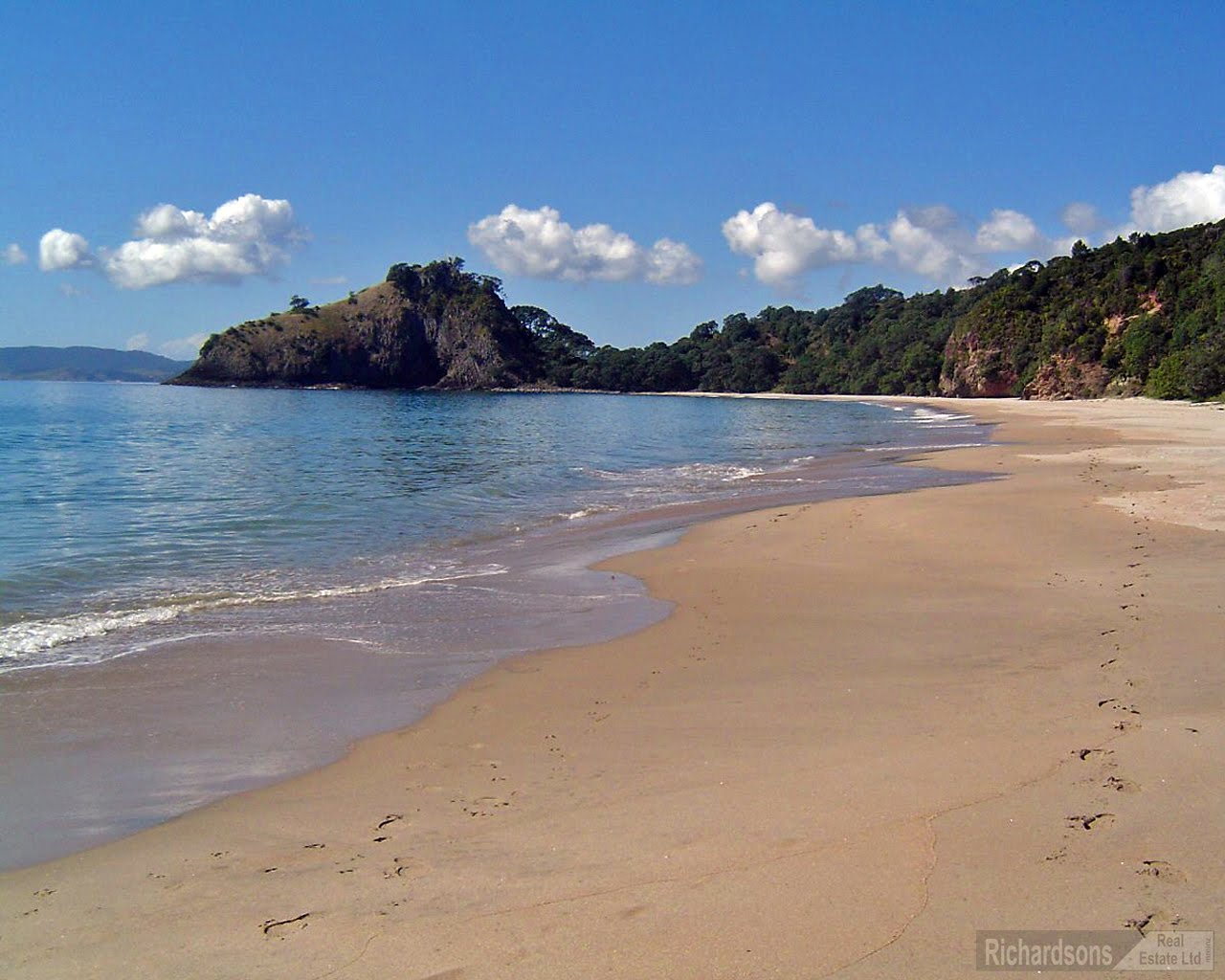 NEW ZEALAND DIARY: SAVING NEW CHUMS BEACH