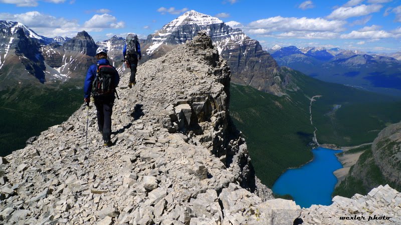 Mt Fay - Global Alpine