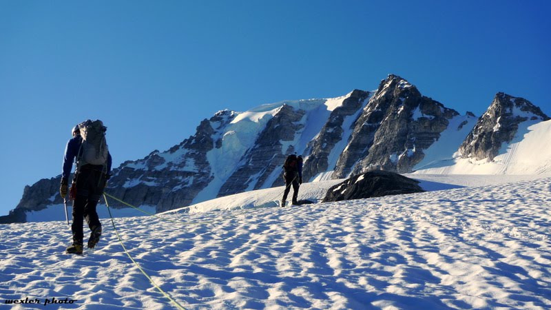 Mt Fay - Global Alpine