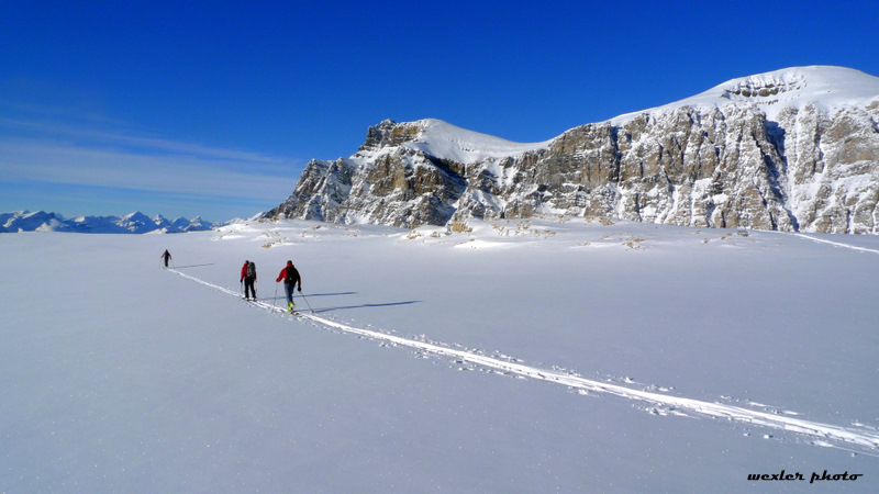 Skiing Mt Hector | Global Alpine