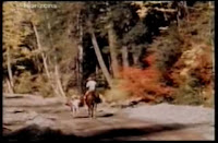 BIGFOOT'S bLOG: Rare Patterson-Gimlin Bigfoot Film Screen Captures, the ...
