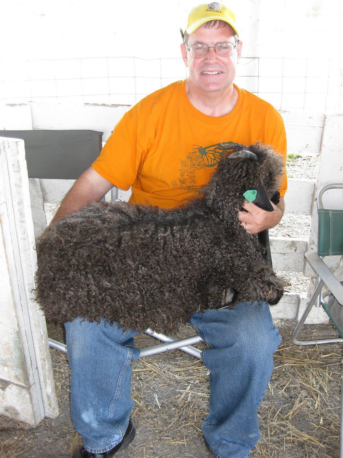 Have Ewe Any Wool?: EAGMA