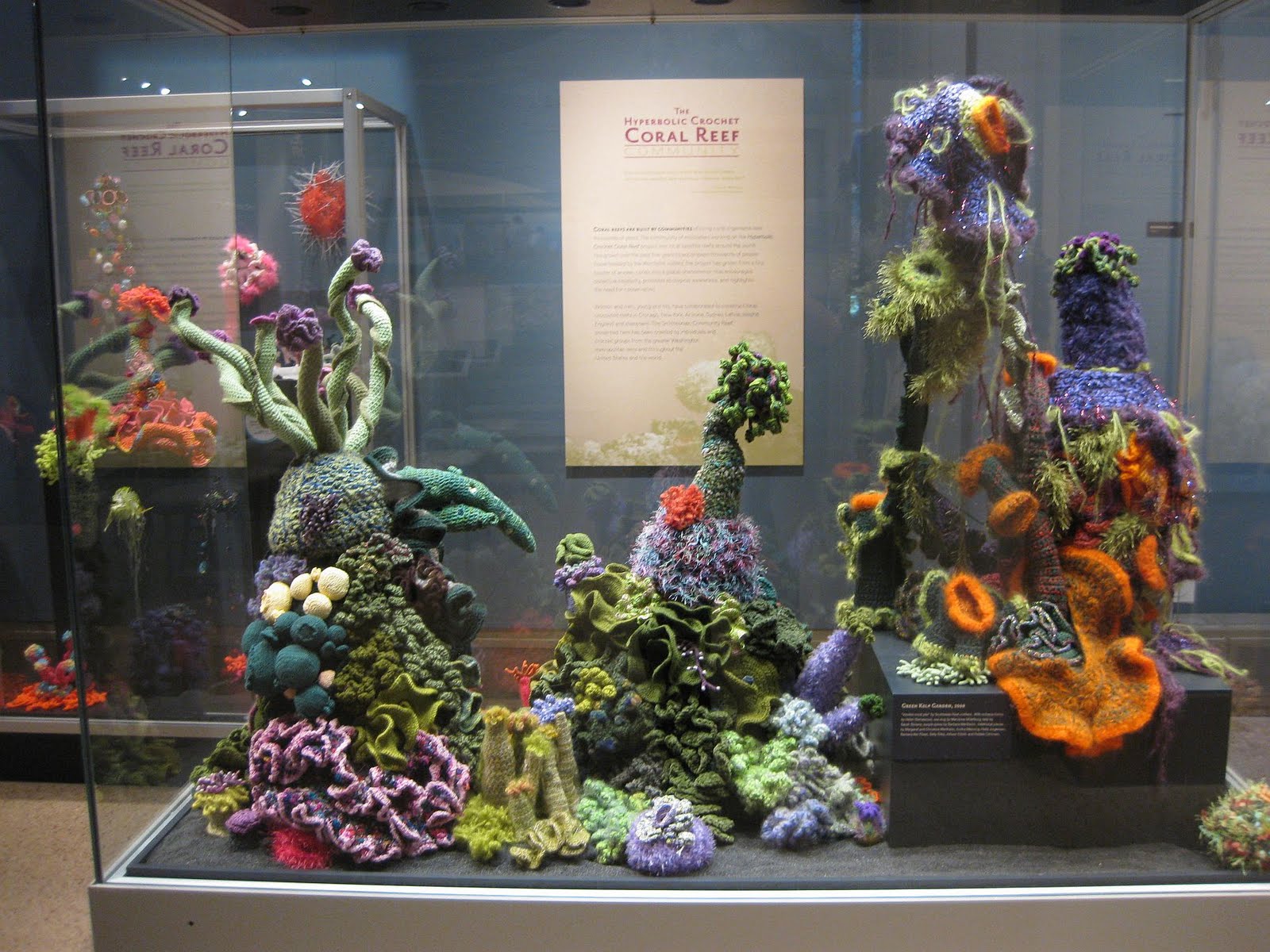Have Ewe Any Wool?: Smithsonian Hyperbolic Crochet Coral Reef at the ...