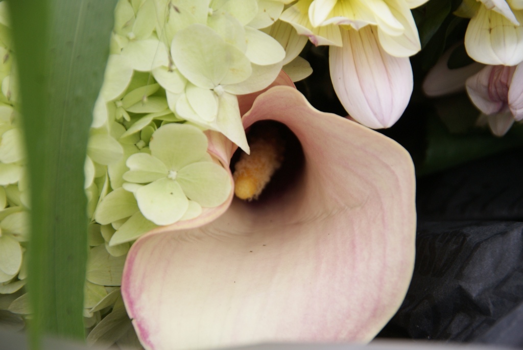 Vicki White Floral Design: Jane Packer's Flower School