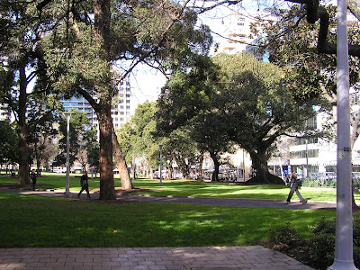 The Wandering Arborist: Sydney Green Space