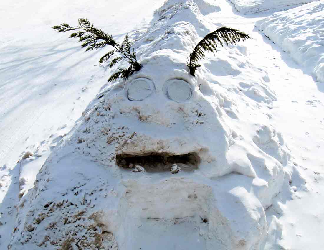 notions and potions: January 2011