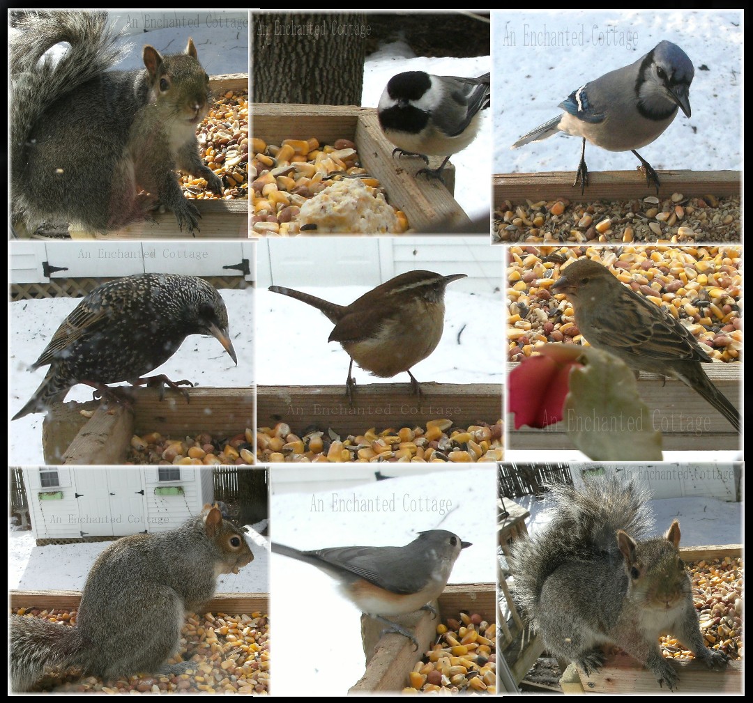 An Enchanted Cottage: Cottage Garden Window Box - Summer vs. Winter ...