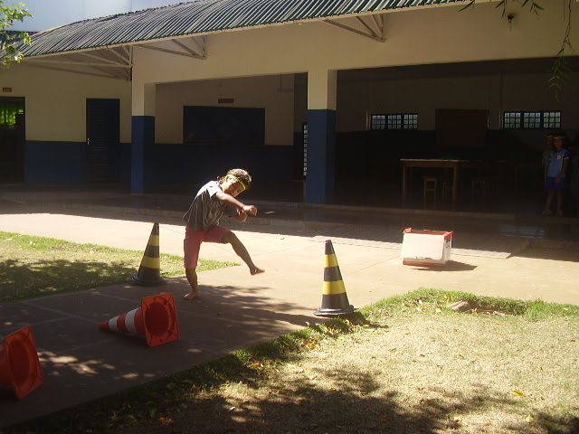 Educar e crescer com Cidinha: Enfrentando obstáculos!