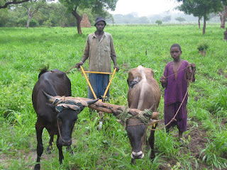 The AK Page: Cattle Dip Tanks