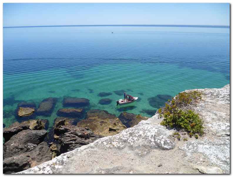 Kay Parkin Birding: Yorke Peninsula Birding Weekend