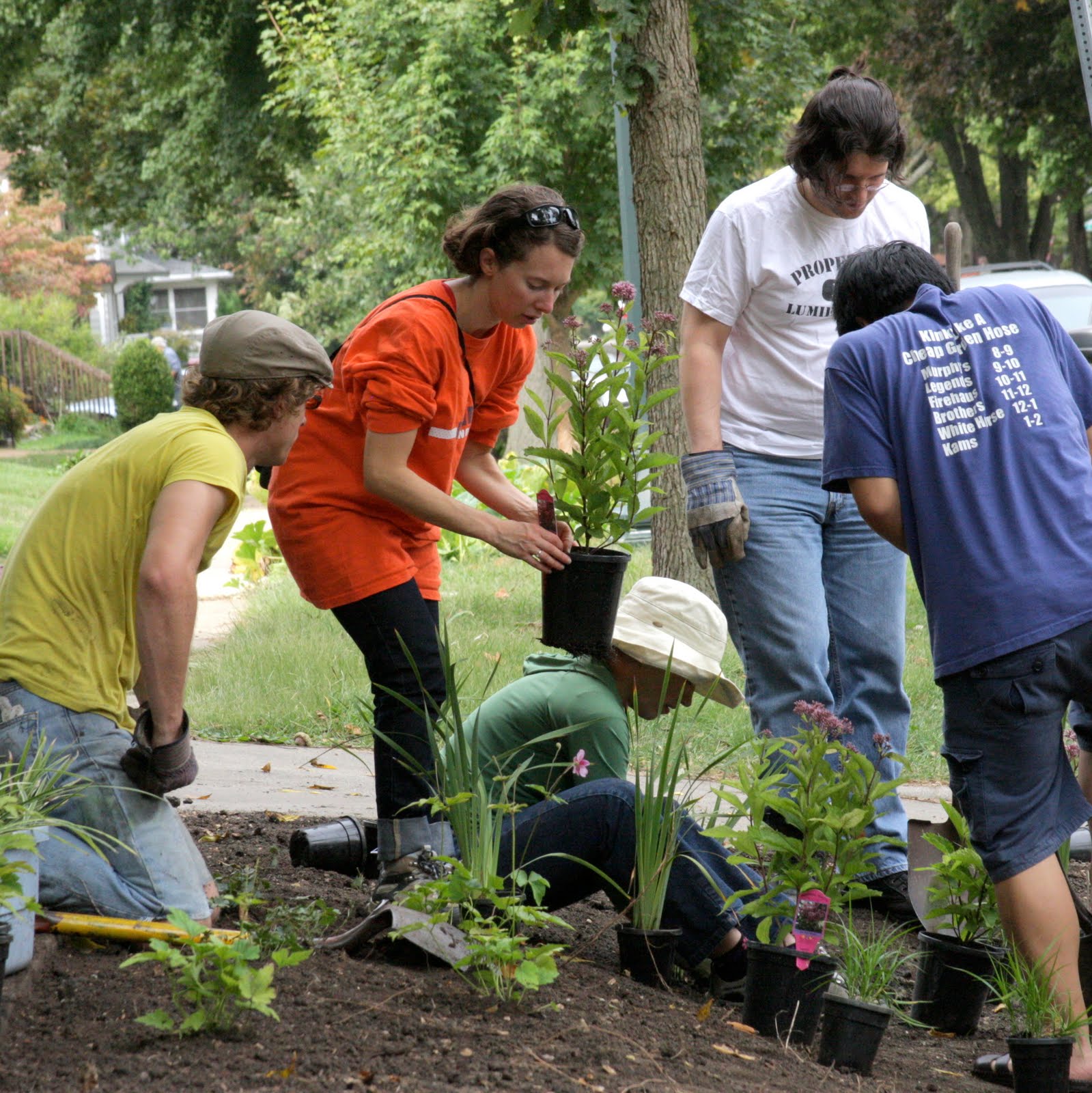 Environmental Almanac: Rain gardens grow from campus-community ...