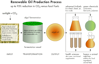 Markit Science: Solazyme's Algae Fuel