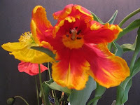Robin Grindley: St. Thomas Elgin Studio Tour