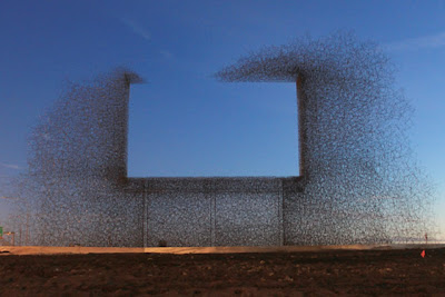 CAMPAIGN: Non-Sign II, Lead Pencil Studio//