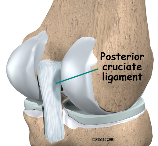 Suhaimi says what.....???: My PCL Progress