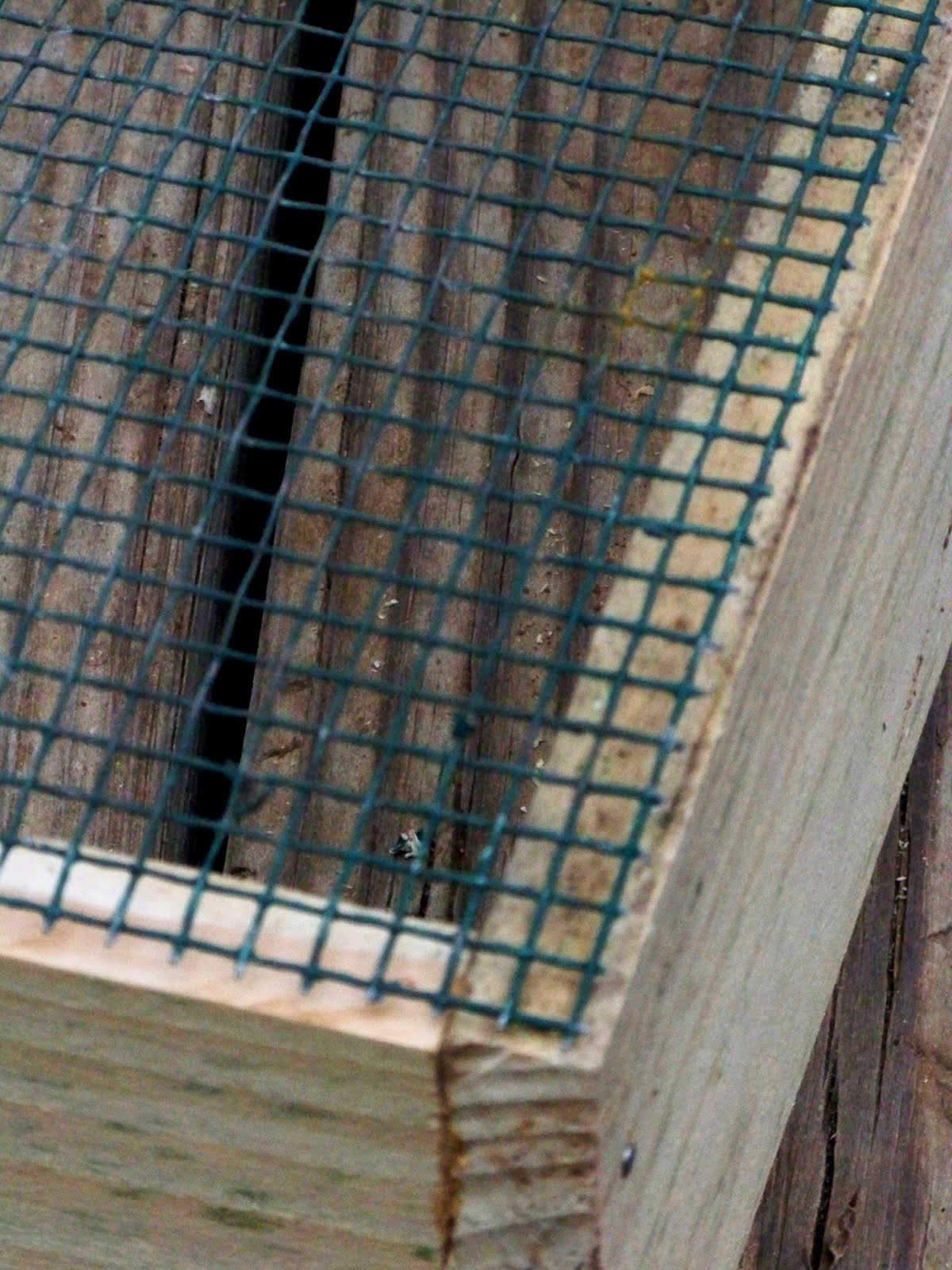 GRANDBOB'S GARDEN: Make This Handy Little Compost Sifter