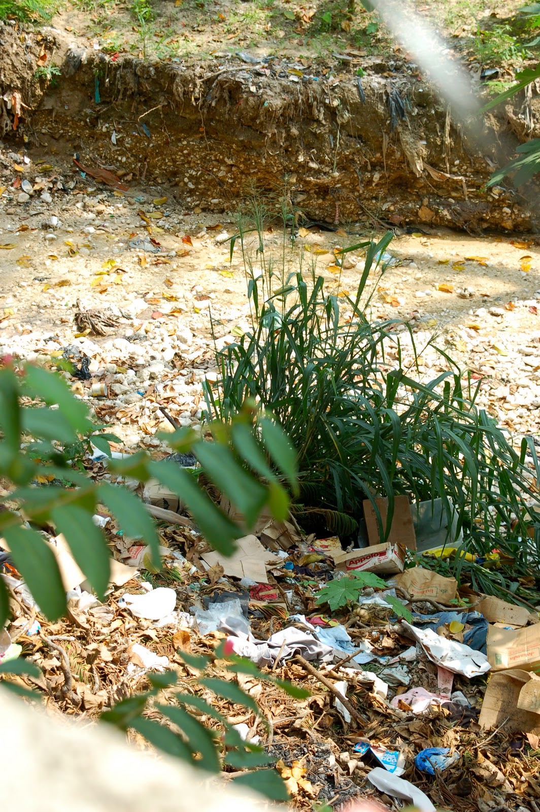 On the Lookout: Kervens Update