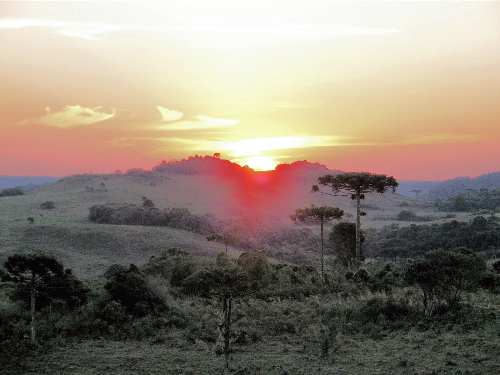 Terra natal: Conheça um pouco de Lages, SC ~ Blog Jorge Yared