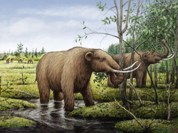 Los Internet: November 2009