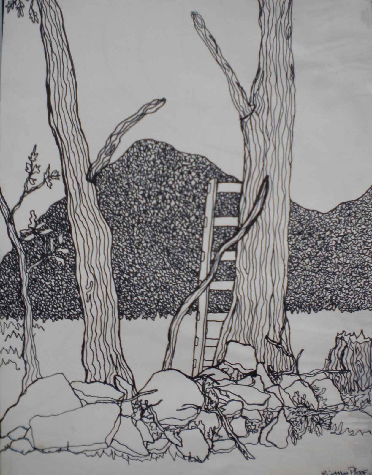 Lisa Ploof - Drawing: Organizational and Contour Line Drawings