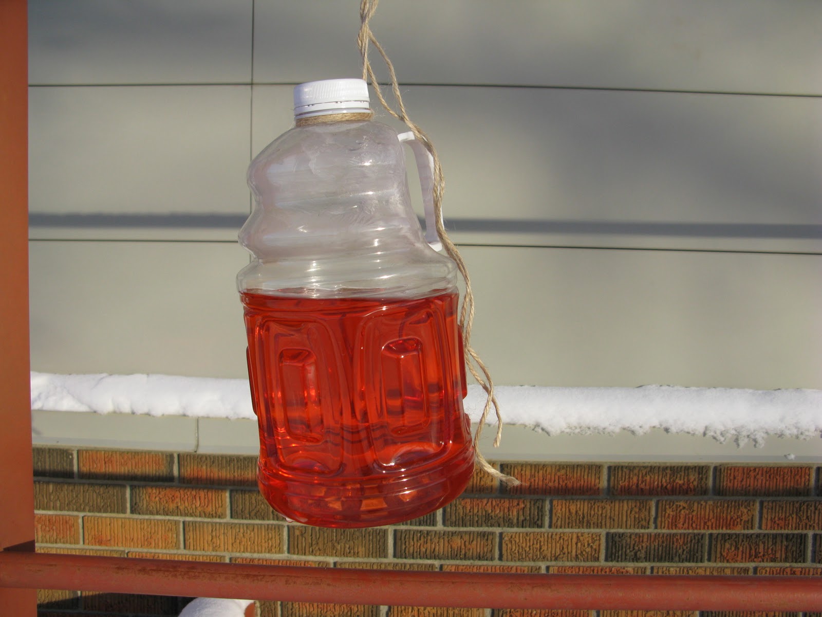 Ms. Brown's Grade 2 Blog: Popsicles and Icicles