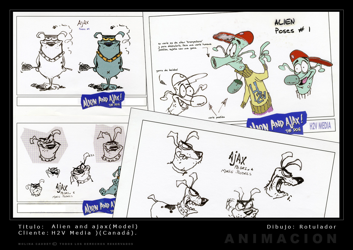 Portfolio Profesional: con David Feiss