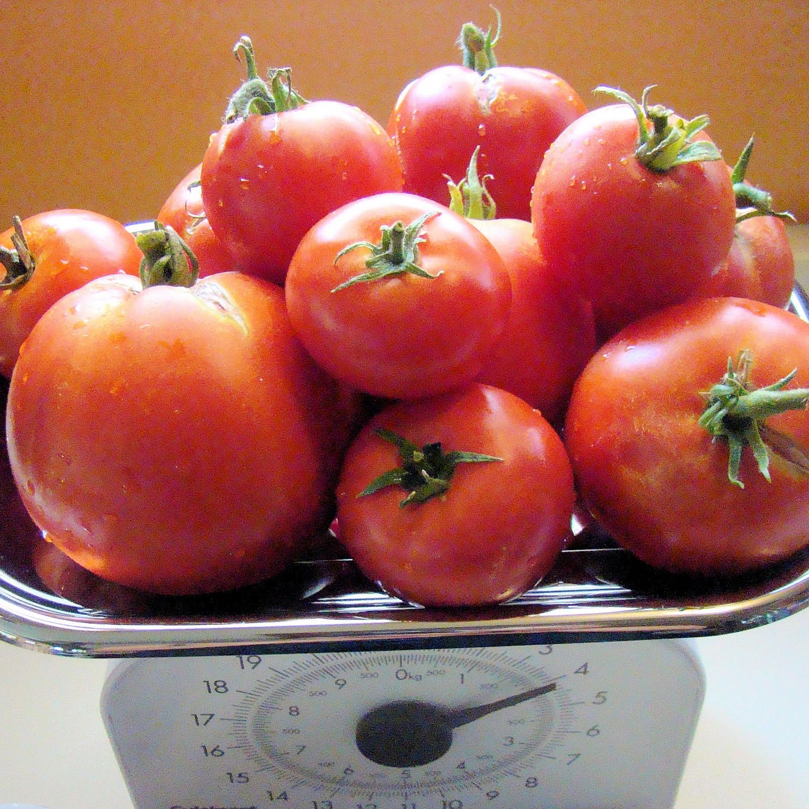 Savoir Faire: Pasta al filetto di pomodoro para quienes morimos por el ...