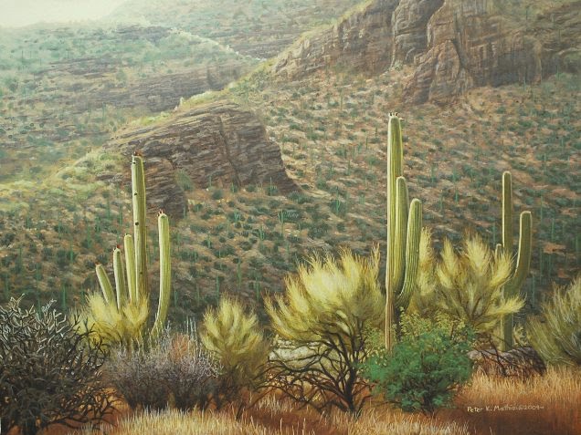 The Art of Peter Mathios