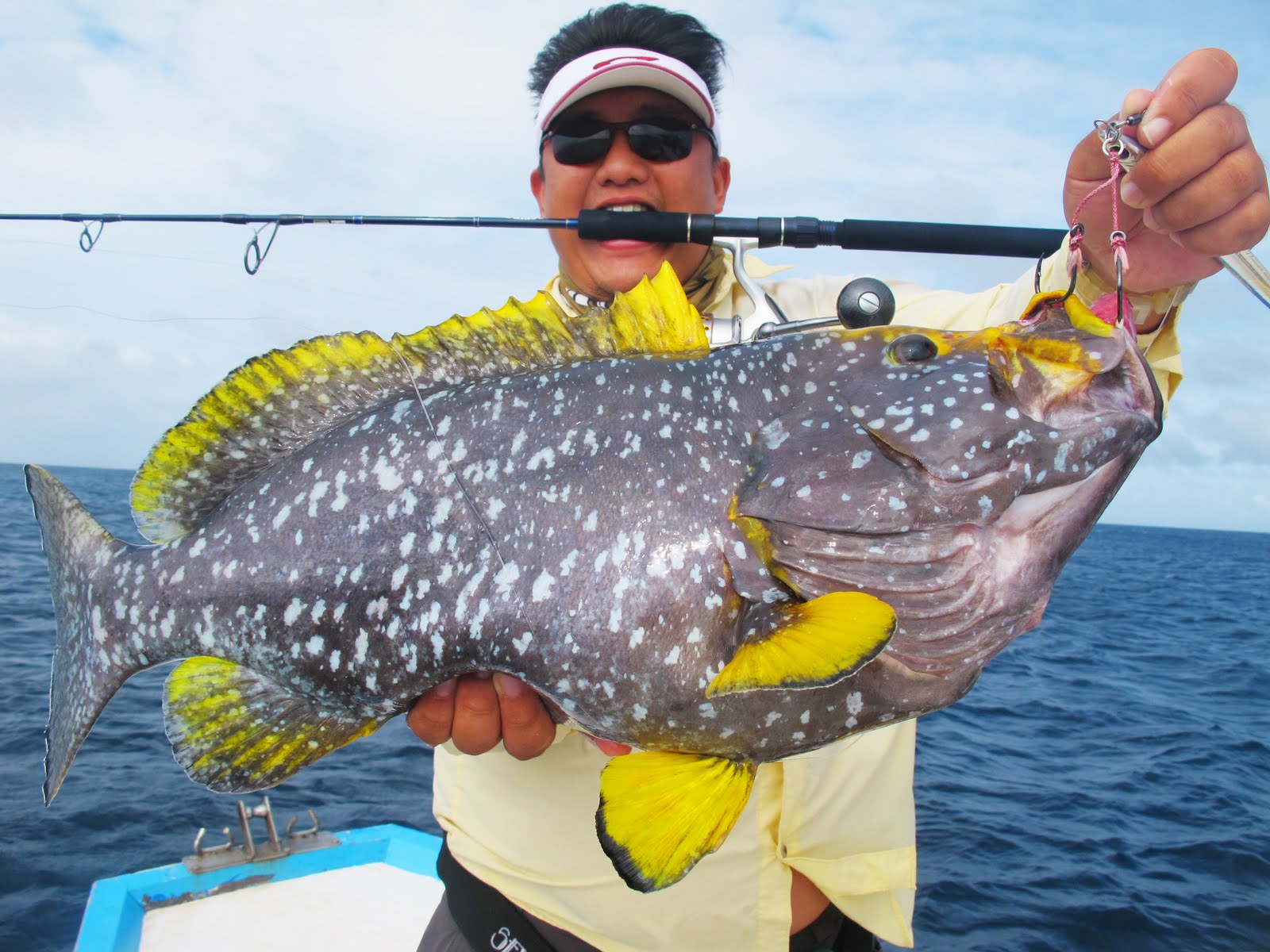 Tackle Source: MALDIVES MAYHEM Part 2