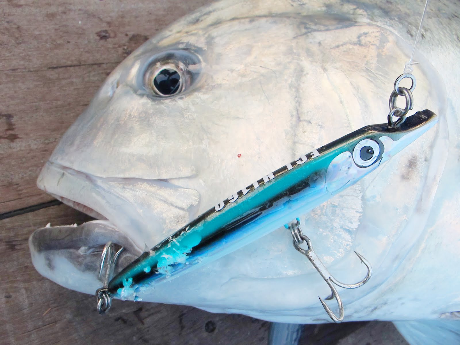 Tackle Source: JIG JIG JIG!