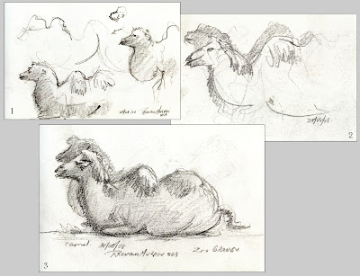 art plein air: Drawing animals on the spot - A DAY AT GRANBY ZOO
