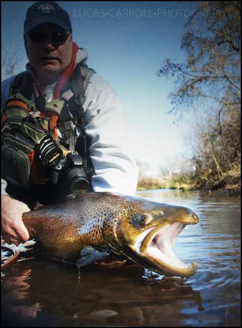 Lucas Carroll Photography