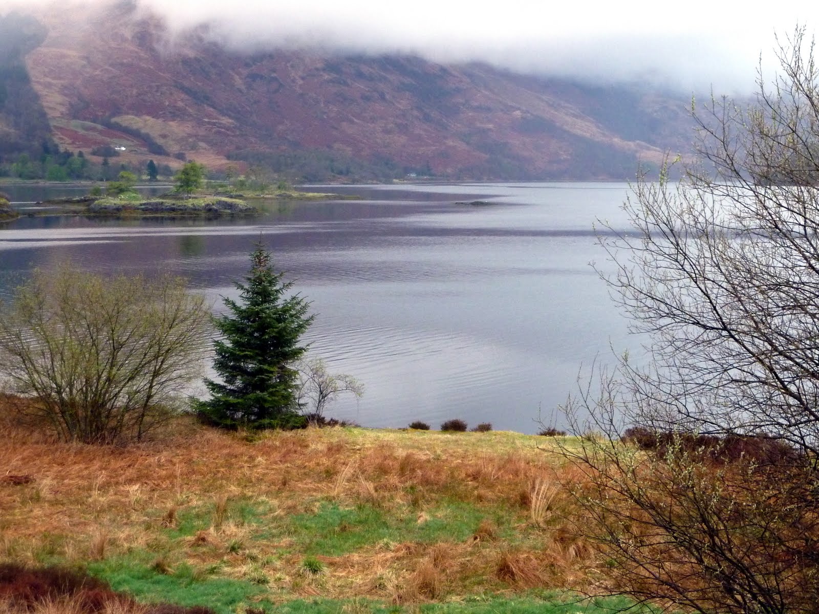 Our Europe 2010 Holiday: Scottish Countryside