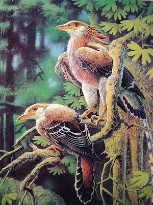 As primeiras Aves | Dinos Tephix