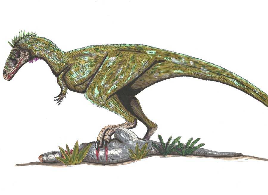 Papéis de Parede monstruosos - Hellraptor | Dinos Tephix