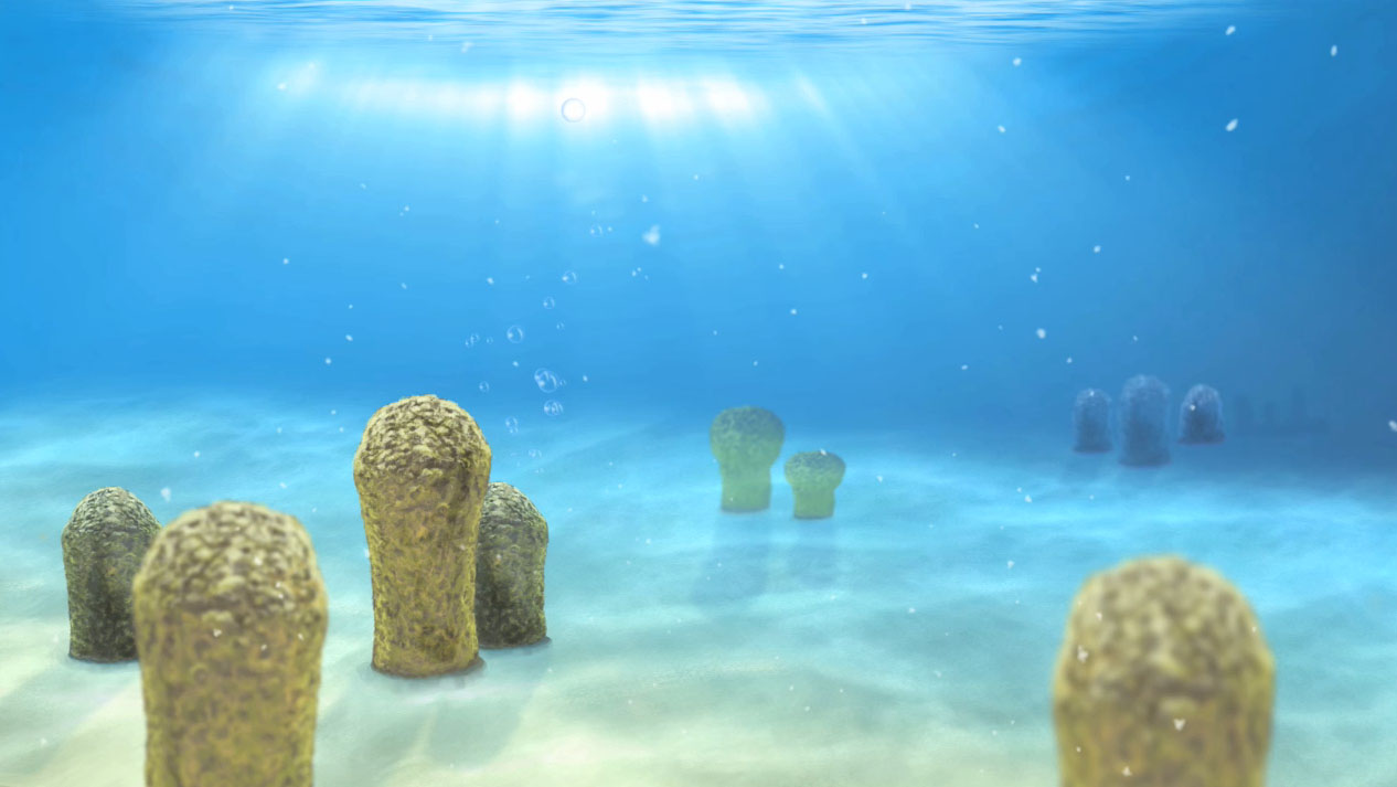 Períodos da Terra: Pré-Cambriano | Dinos Tephix