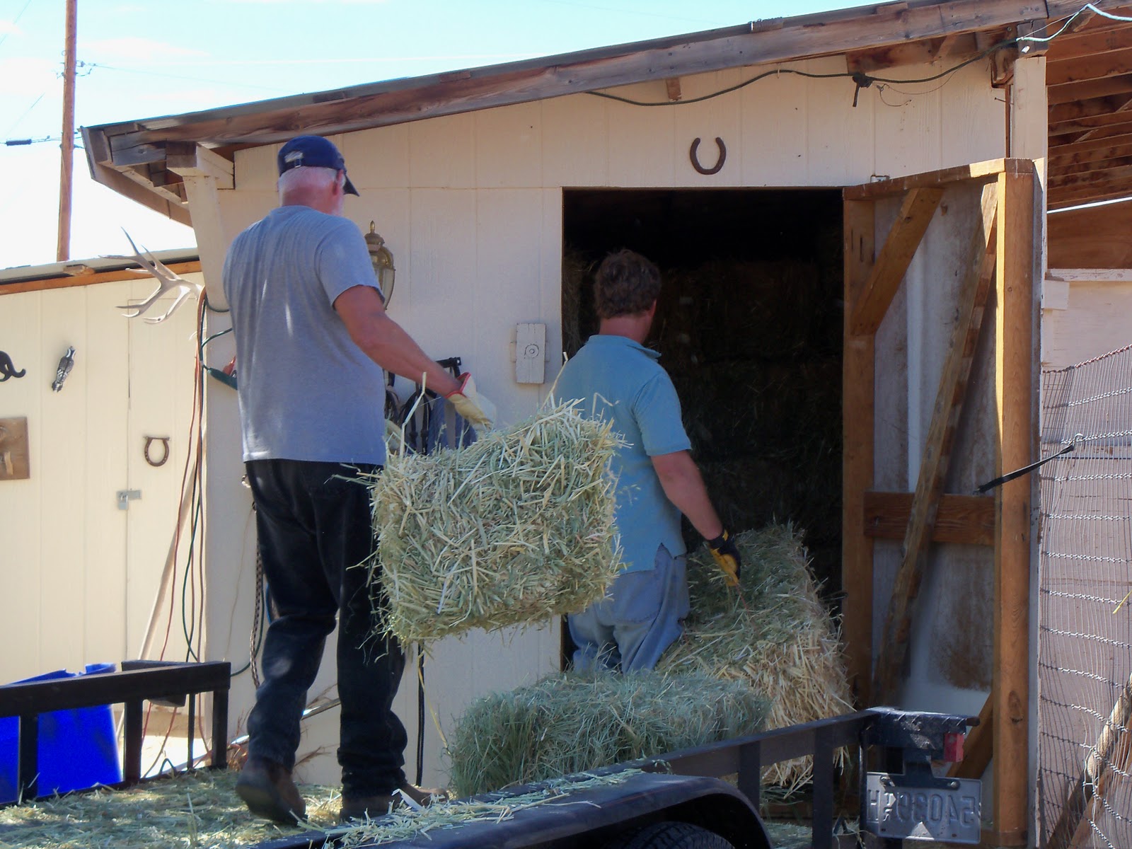 Tumbleweed Crossing: Hay Delivery