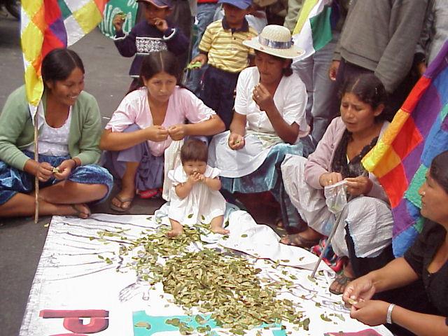 Mirando la Patria: Más países apoyan la despenalización del masticado ...