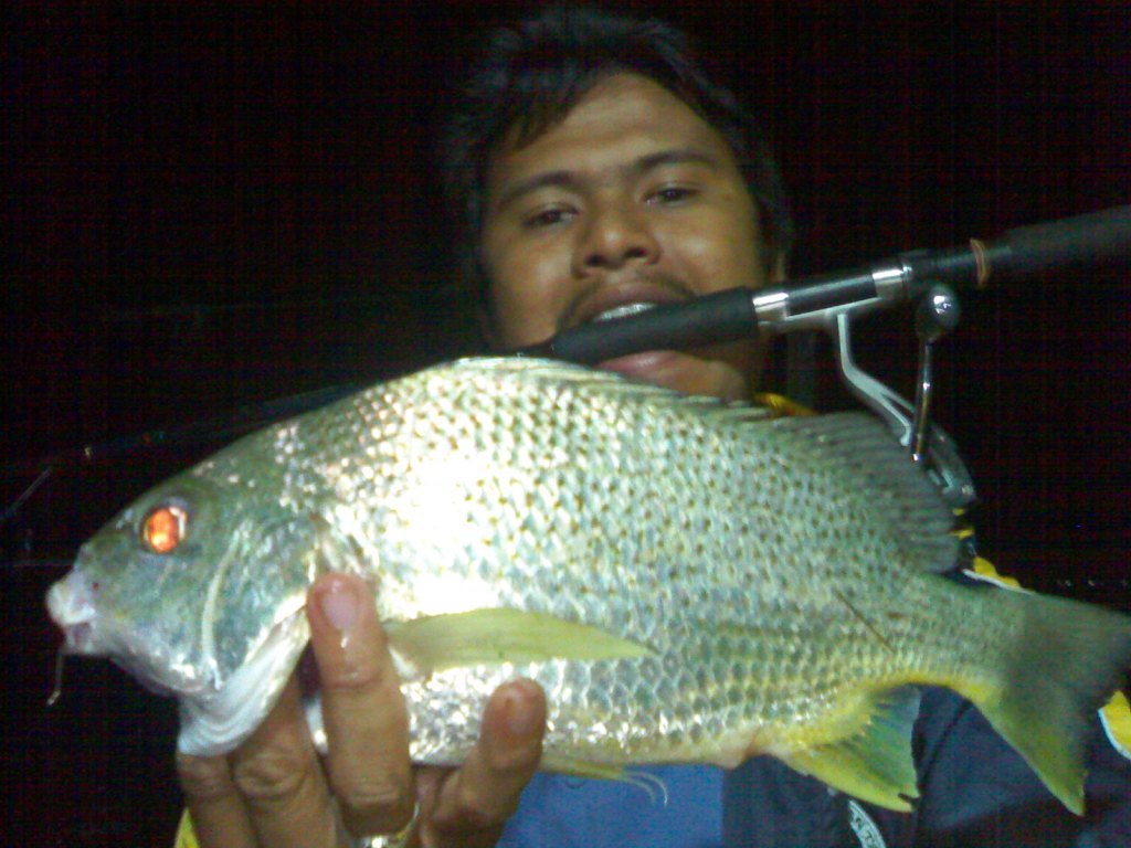 Pencinta Pancing: BagangFarm - Ikan Arut @ Gerut-gerut