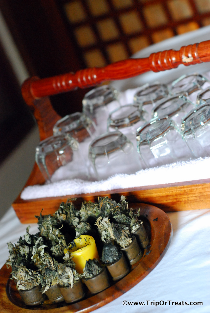 Trip or Treats: Bentosa's Bliss At Sonya's Garden