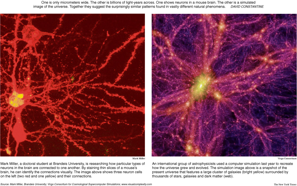 One is a neuron. The other is the structure of the universe. « billashton