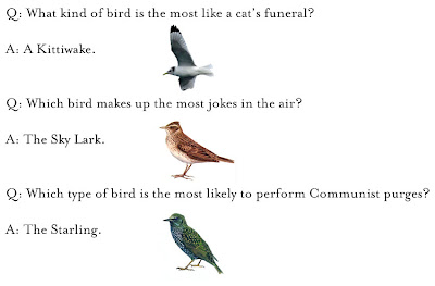 Homemade Jokes: Bird Joke Compendium No.3