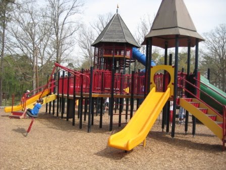 The Stir Crazy Moms' Guide to Durham: Duke Park