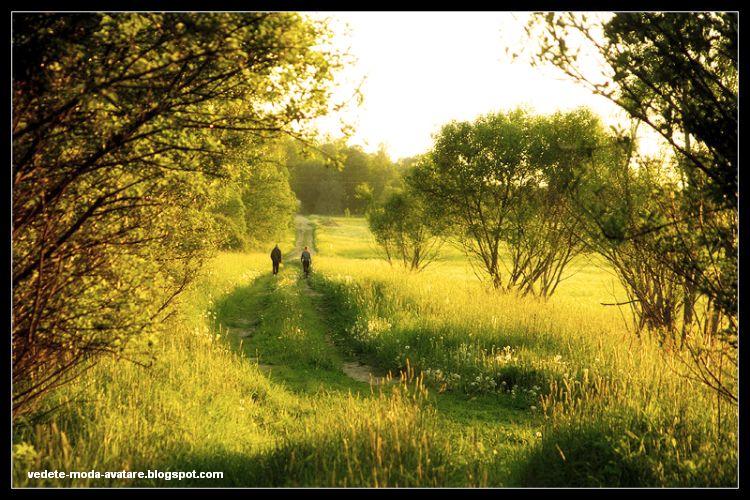 Peisaje de Vara Wallpapers Vara