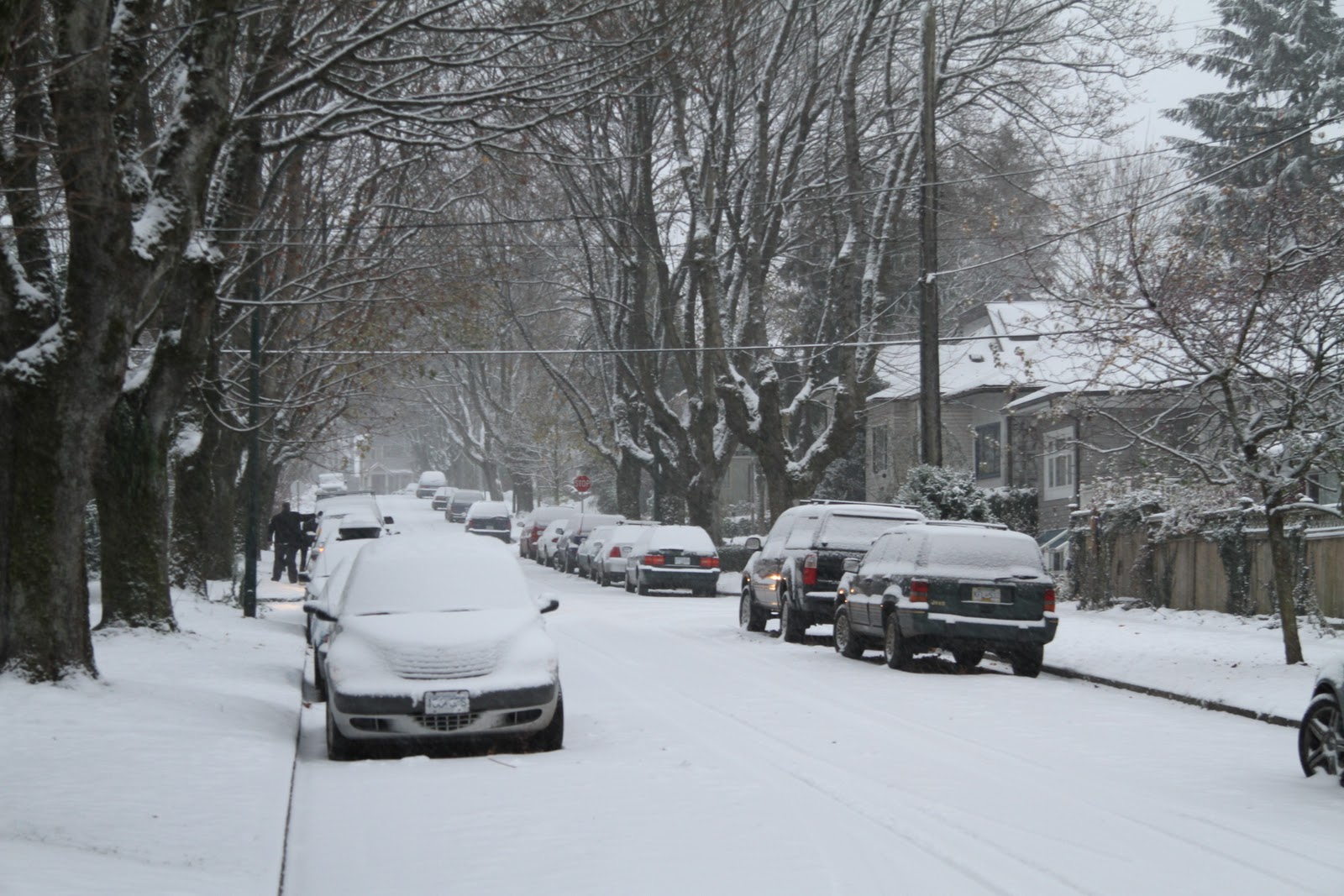 Vancouver: A Local's Perspective: Scenes from a Vancouver Snow Day